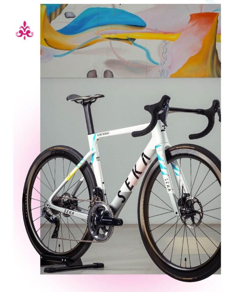 11 Best Chinese Bicycle Brands Worth Your Attention (2026)