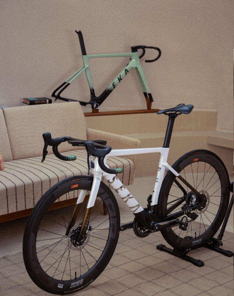 11 Best Chinese Bicycle Brands Worth Your Attention (2026)