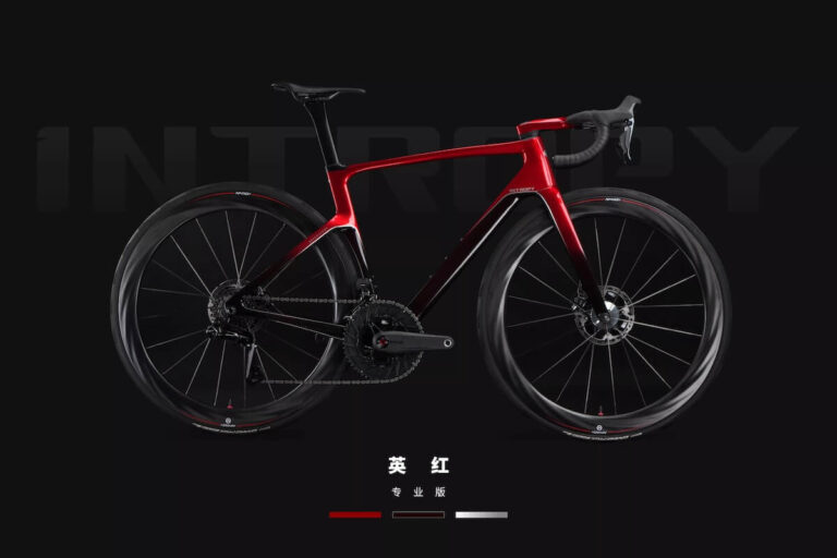 Intropy Speedster: The Best Chinese Do-It-All Frame Yet?